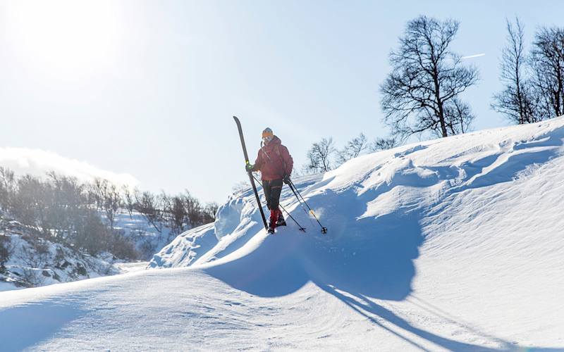 Flights From Manchester to Rovaniemi – Book Your Ticket Easily Today | SAS