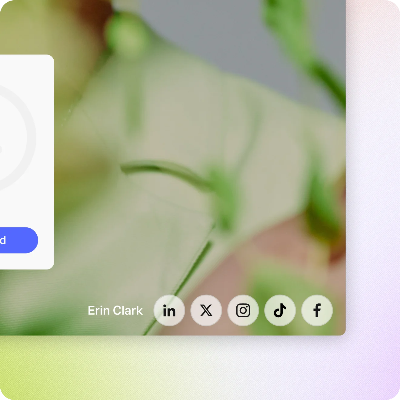 Distribute your content | WeTransfer