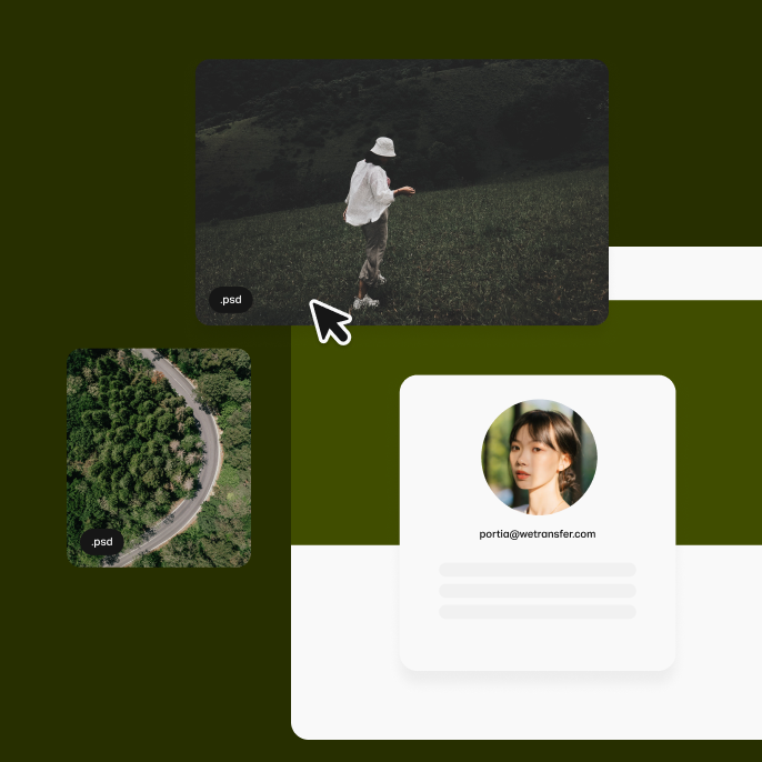 WeTransfer customization features
