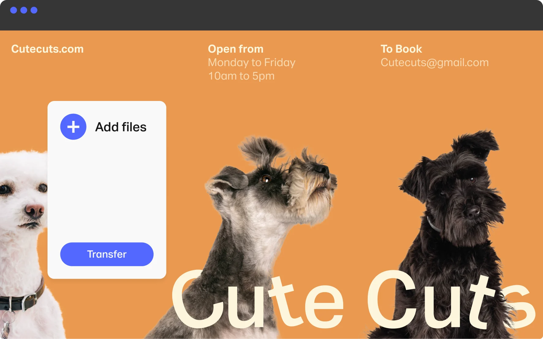 Create Your Custom Branded Space Online | WeTransfer