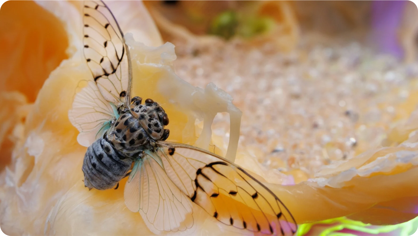 WeTransfer for Photographers | WeTransfer