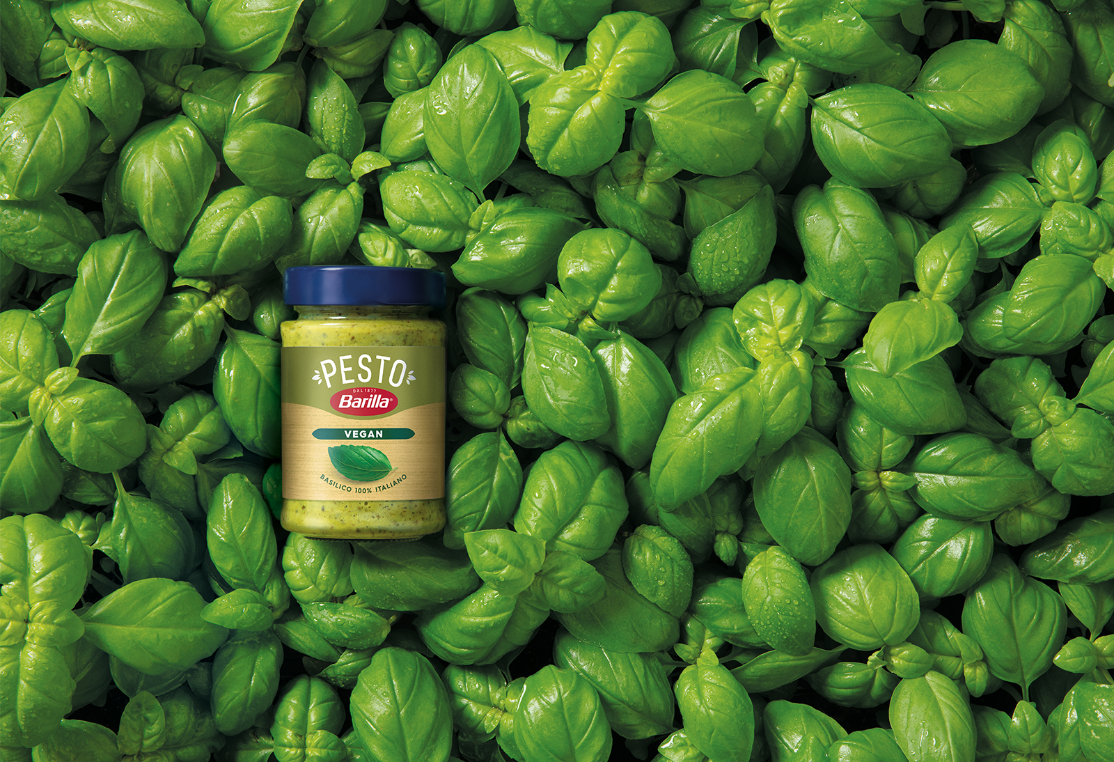 Sauce Pesto Basilico Vegan | Barilla | Barilla