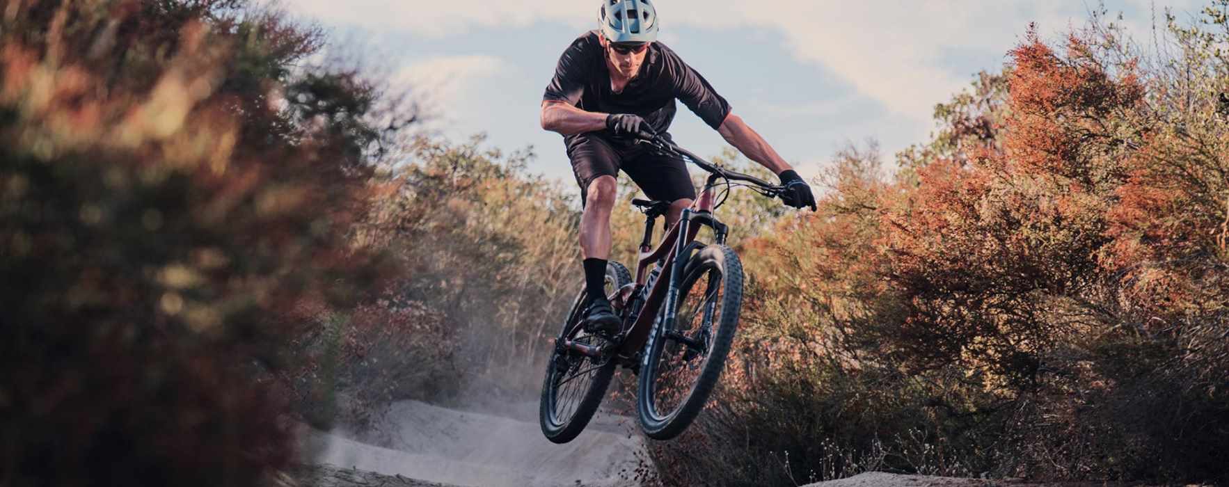 Elevating Giant Bicycles' Click & Collect Success » G Squared SEO ...