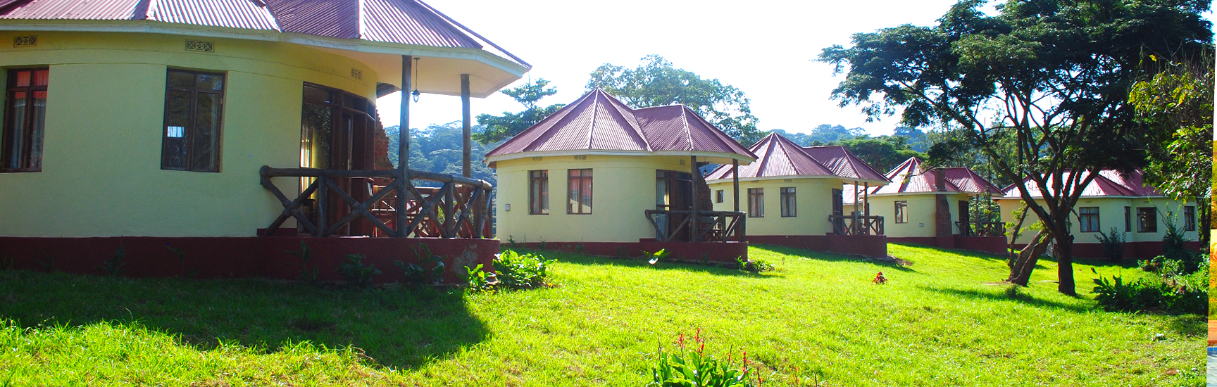 Hhando Coffee Lodge - Monkey Adventures
