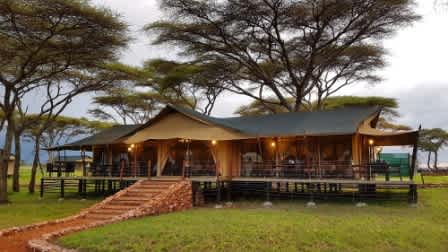 Ole Serai Luxury Camp, Turner Springs - Monkey Adventures