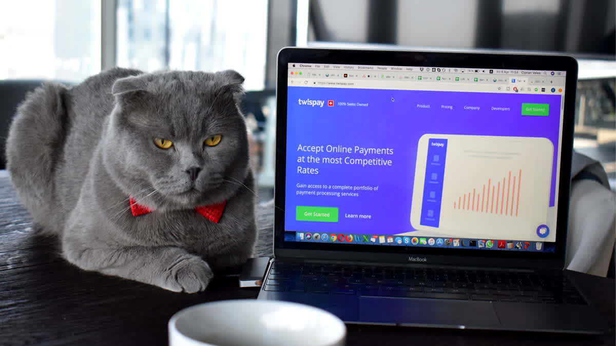 Twispay, the first payment processor to sign with a cat :) | Twispay