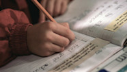 Written Expression Disorder Vs Expressive Language Disorder