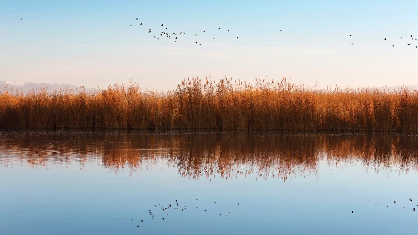 The Power of Small Change