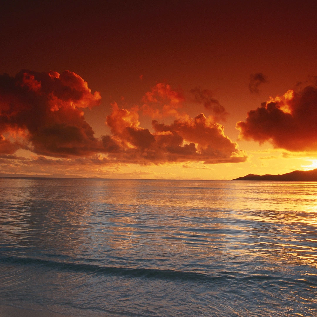 5 Simple Yoga Practices to Bring You Lasting Peace of Mind