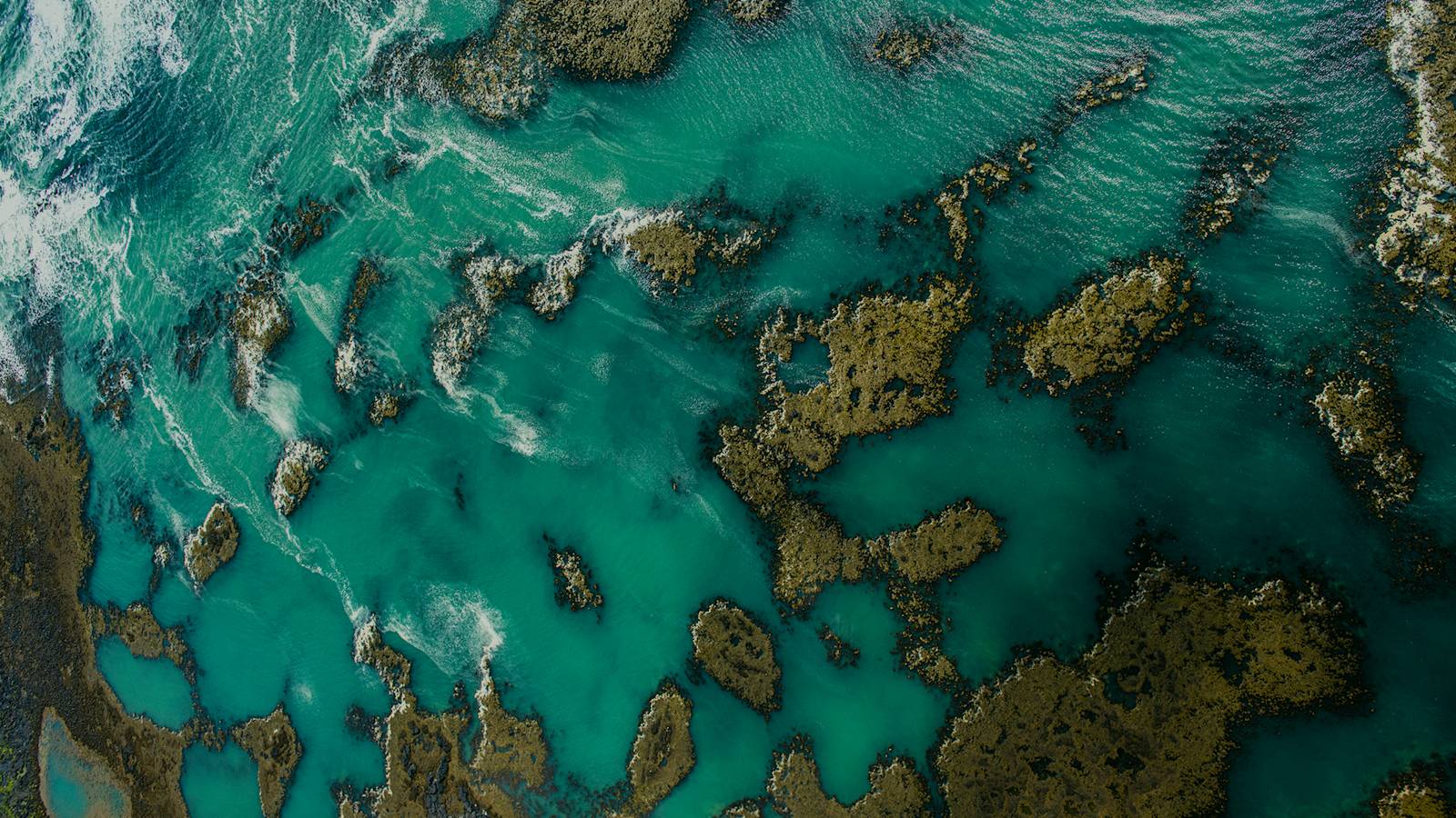 Exploring Heart-Centered Awareness