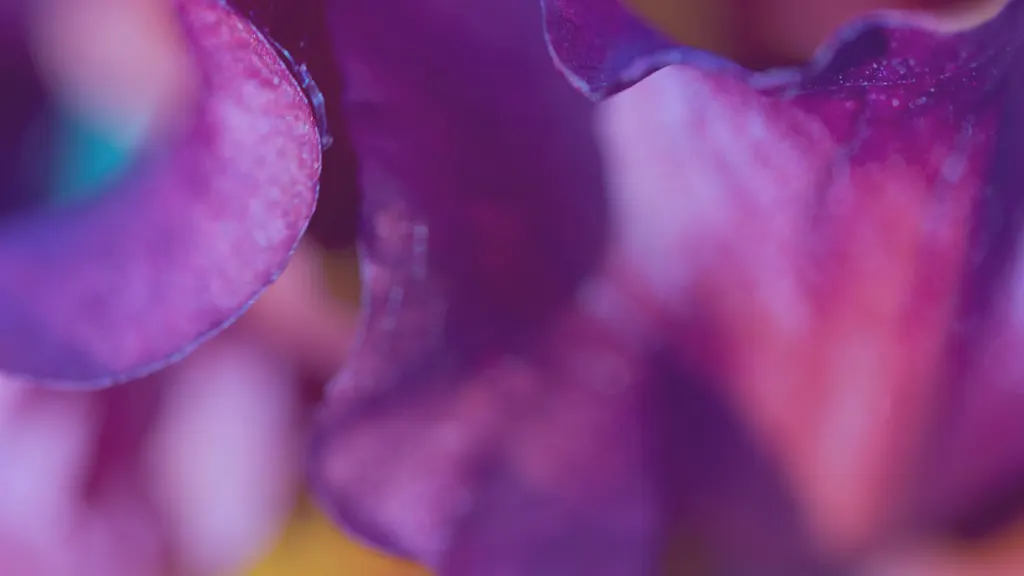 Relajación profunda