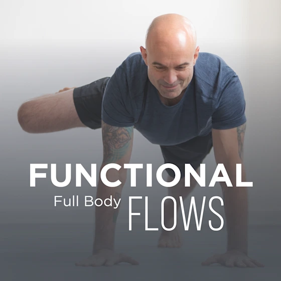 Functional Full Body Flows