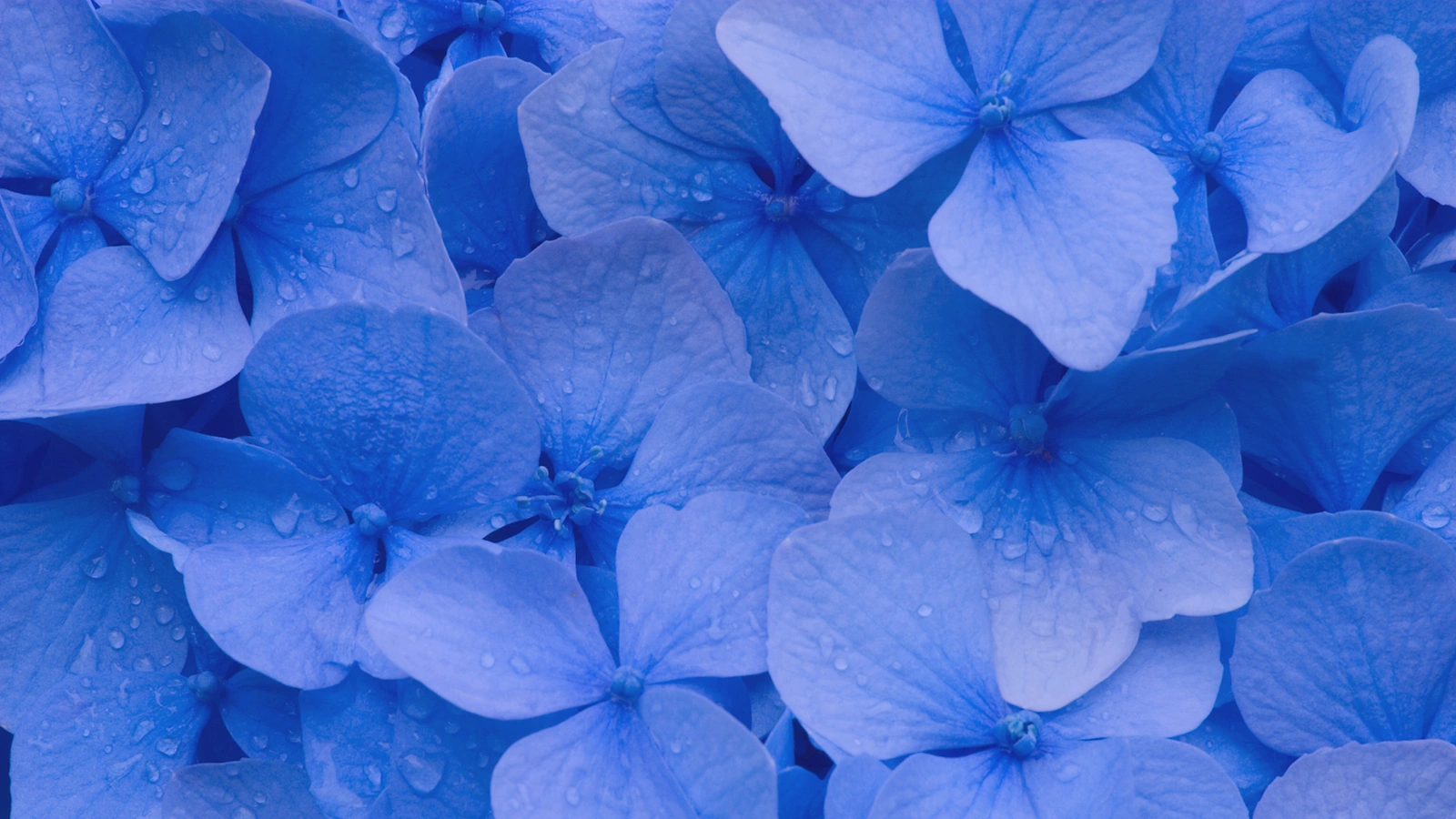 The Langhana Effect: Nadi Shodhana on Exhale