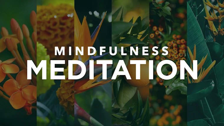 Mindfulness Meditation Step-by-Step