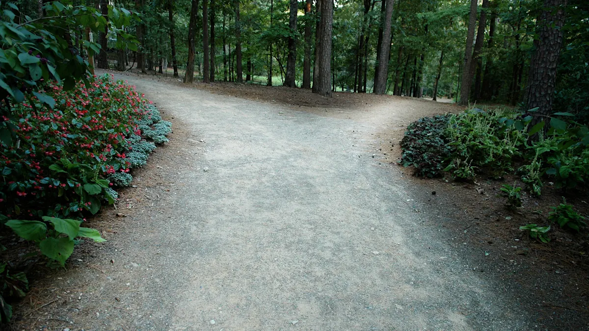 Choosing a Path: Short-Term Pleasure or Long-Term Fulfillment