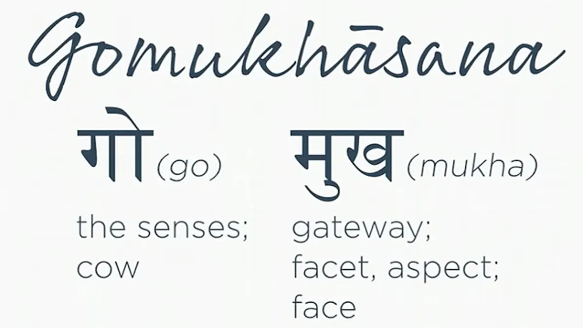 Gomukhasana: Discover the Deeper Meaning Behind the Pose