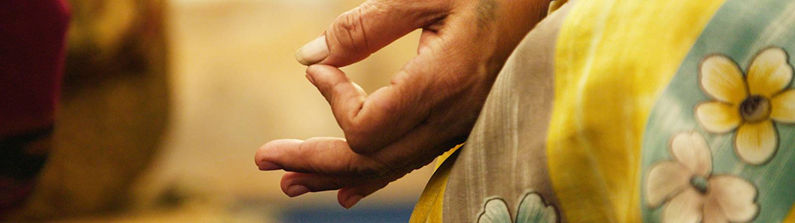 Exploring the Yogic Path | Yoga International