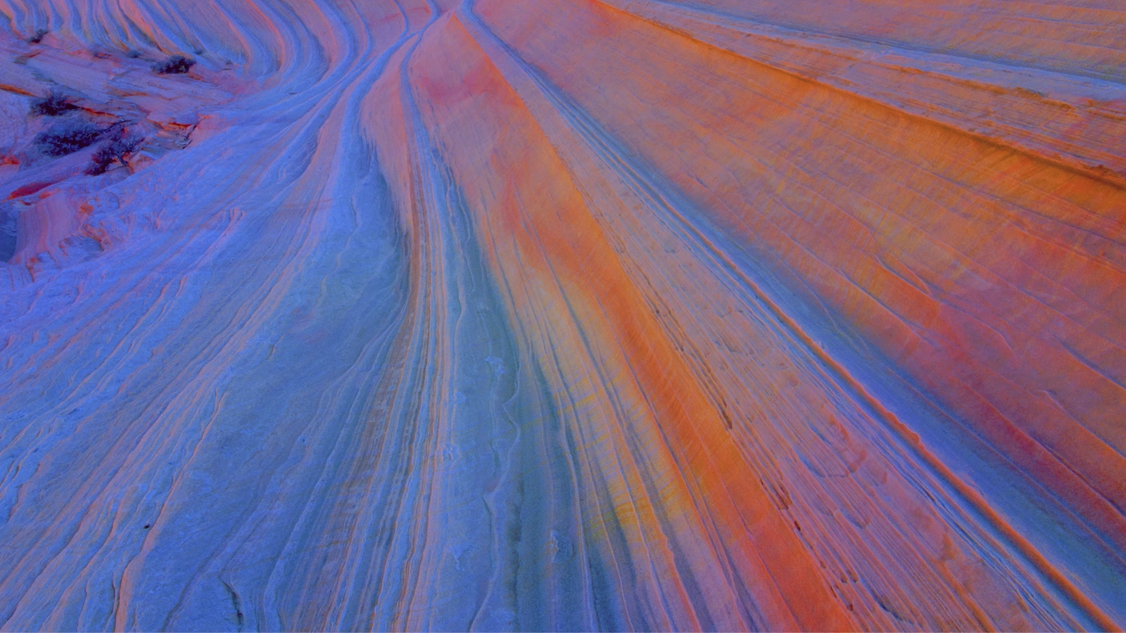 Yoga Nidra Practice with Rod Stryker