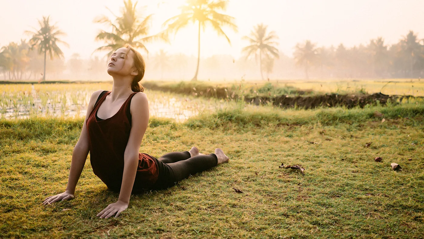 En definitiva, ¿qué es un yogui?
