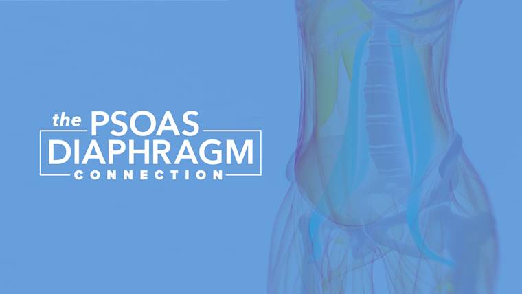 The Psoas/Diaphragm Connection