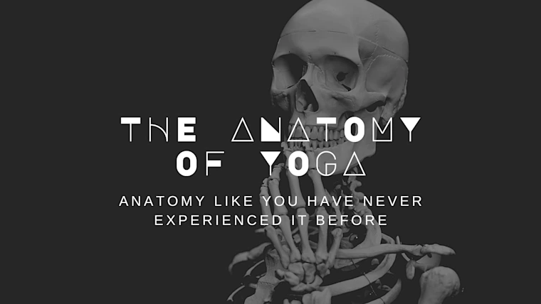 The Anatomy of Yoga