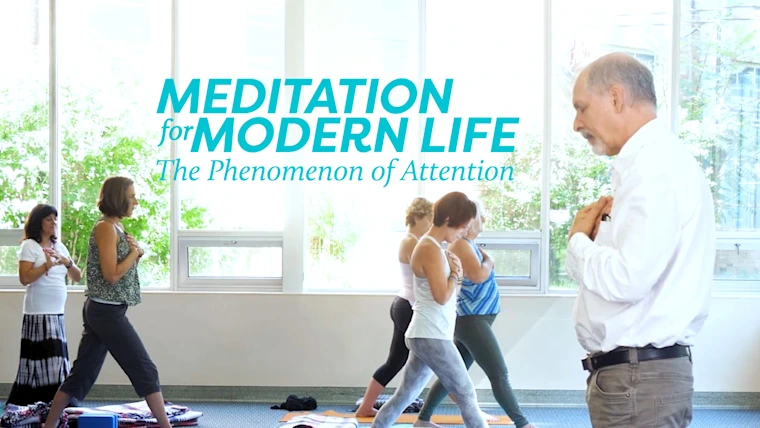 Meditation for Modern Life: The Phenomenon of Attention
