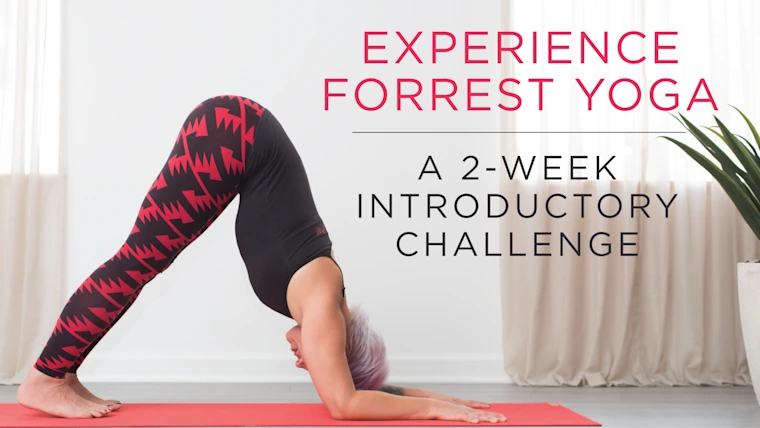 Experience Forrest Yoga Challenge