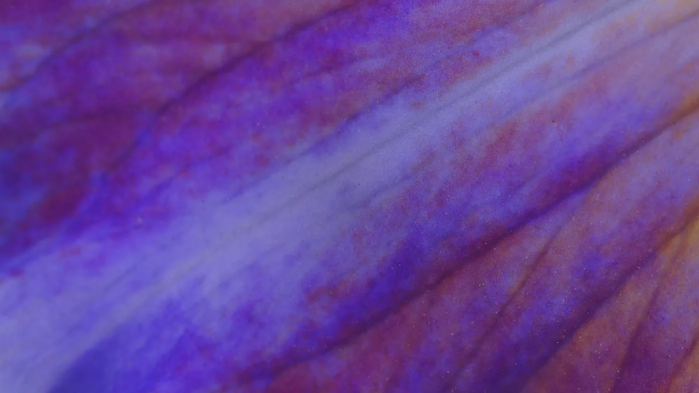 Whole Body Stillness and Relaxation