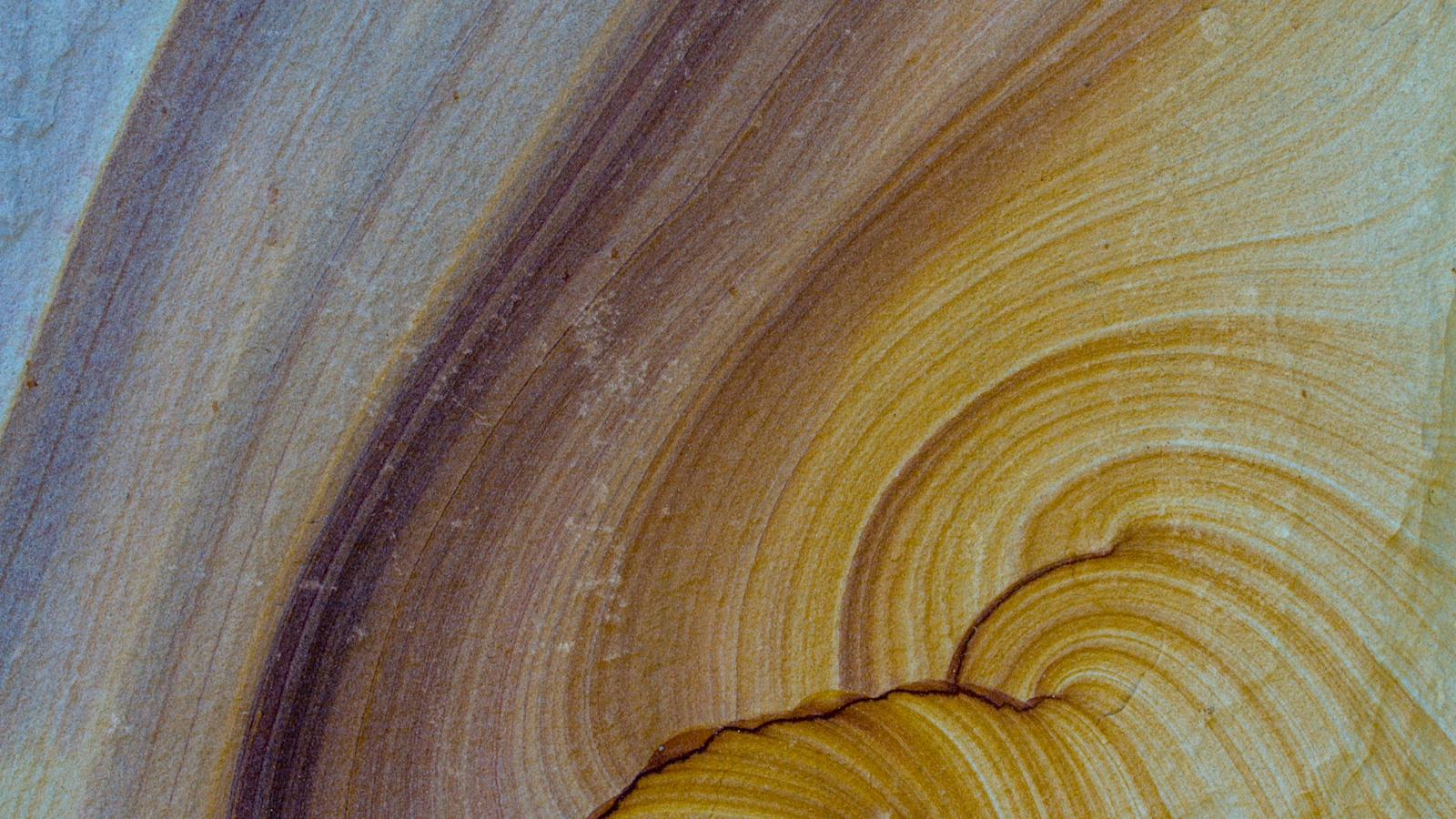 Mente calmada y enfocada