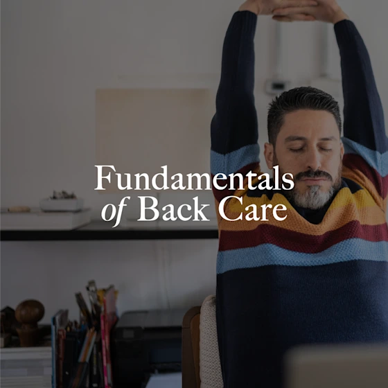 Fundamentals of Back Care