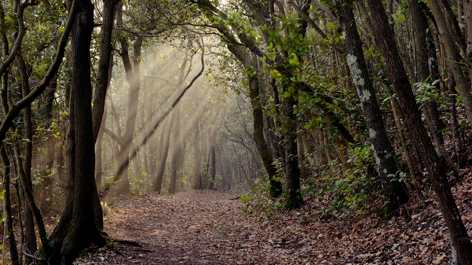 Living Tantra, Part 1: Mystical Rituals