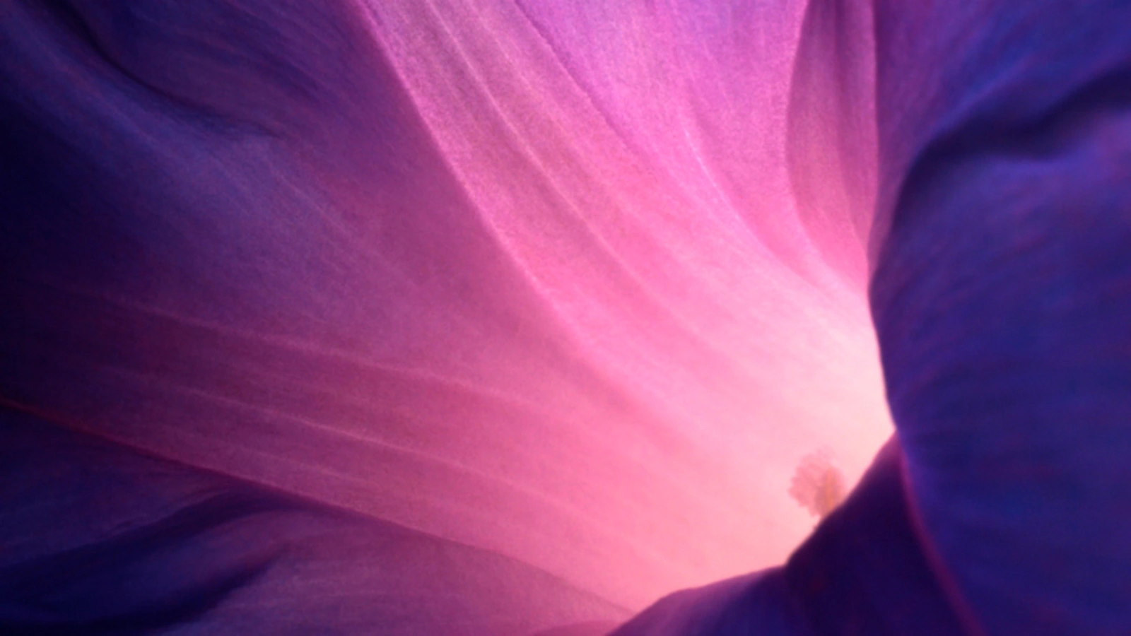 Traditional Metta Practice: An Offering of Compassion