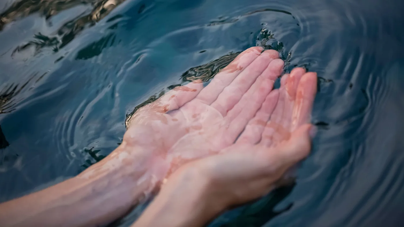 Fundamental Principles of Healing