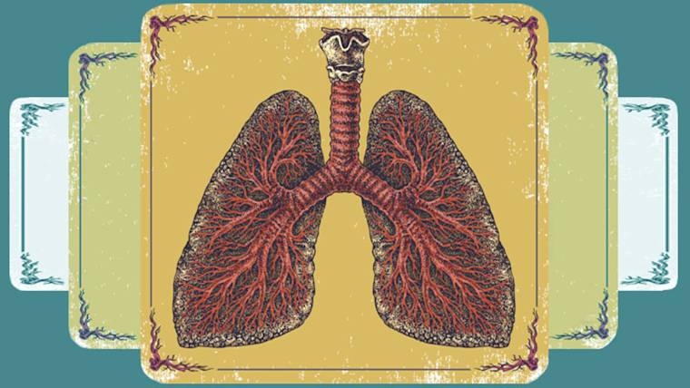 Art and Science of Breathing