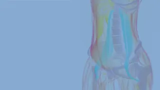 The Psoas-Diaphragm Connection: Yoga, Breathing, and Trauma