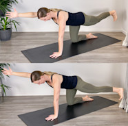 Bird Dog Exercise Progression