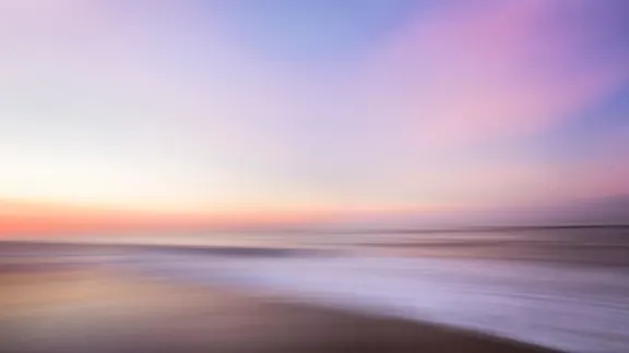 Moment of Calm in a Busy Day