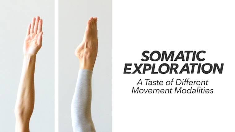Somatic Exploration: A Taste of Different Movement Modalities