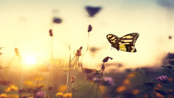 4 Tips to Stay Healthy This Spring