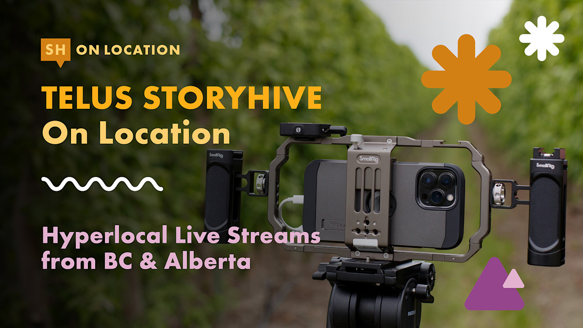 Explore local live streams from your community | STORYHIVE