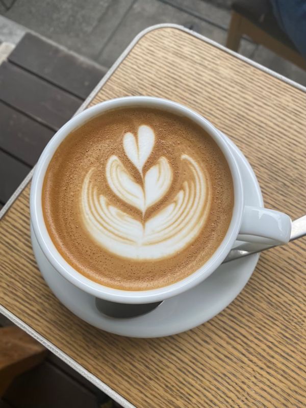 COVE COFFEE ROASTERS | Cafe in Map