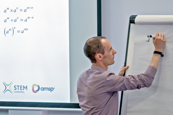 Professional Development Leader teaching a course at the National STEM ...