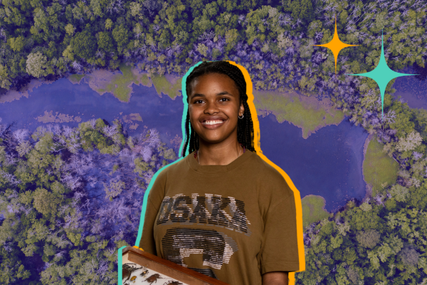 Climate Change resources