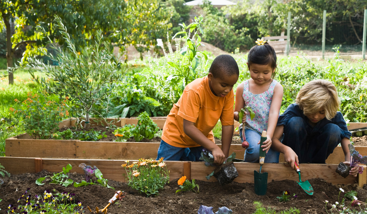 Ideas for how to explore plants with your class and explain it in a way ...