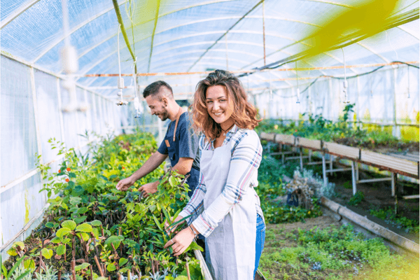Green Careers