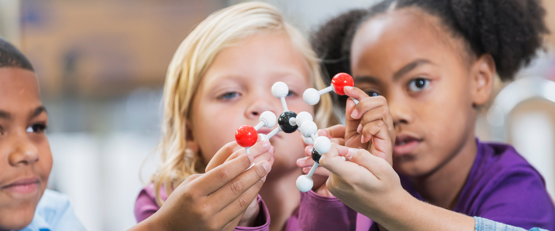 Improving diversity and inclusion in STEM