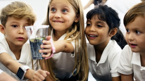 ENTHUSE Partnerships for schools and colleges