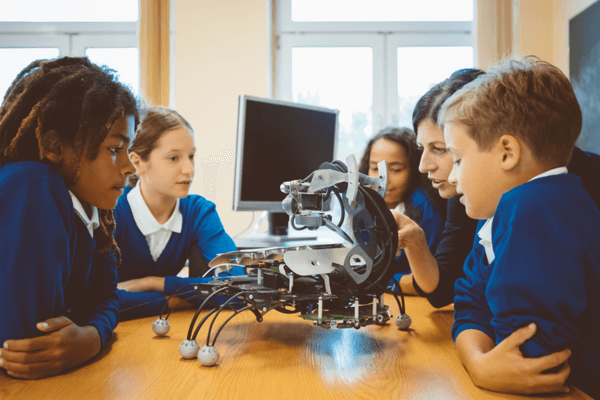 Enrichment for primary pupils