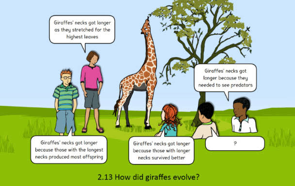 Evolution...explore with your class