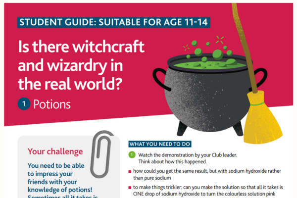 Supporting Lesson Planning